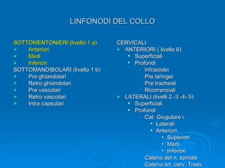 Linfonodi della testa | PPT