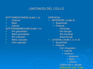 Linfonodi della testa | PPT
