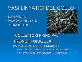 Linfonodi della testa | PPT