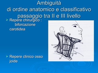 Linfonodi della testa | PPT