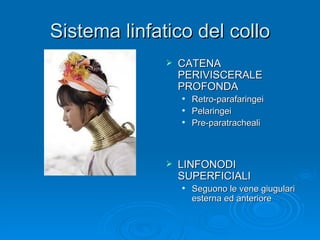 Linfonodi della testa | PPT