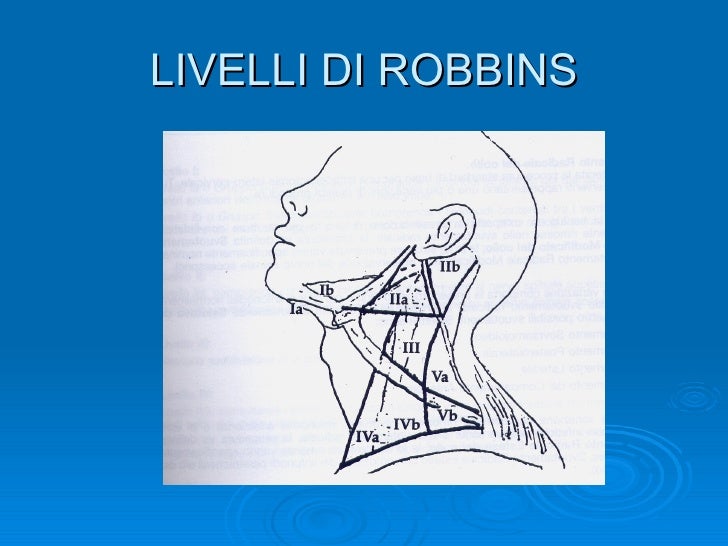 Linfonodi Della Testa E Del Collo Wikipedia