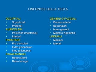 Linfonodi del collo | PDF