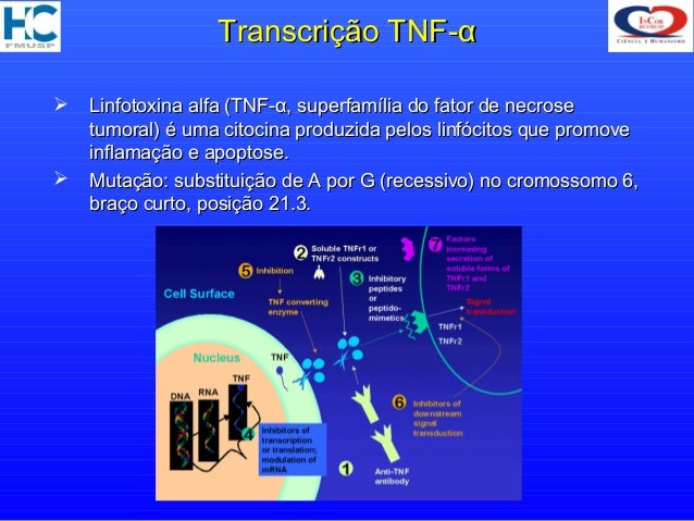 Linfotoxina alfa mutante em pacientes com doença arterial coronária…