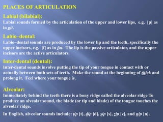 LING 103 2017 Phonetics 1.ppt | Ear, Nose and Throat Conditions ...