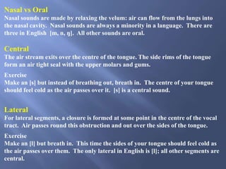 LING 103 2017 Phonetics 1.ppt | Ear, Nose and Throat Conditions ...
