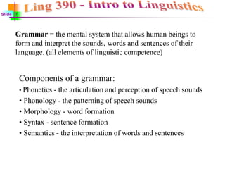 Linguistic introduction lecture notes for university | PPT