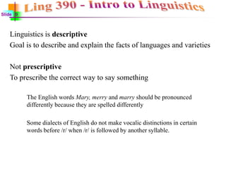 Linguistic introduction lecture notes for university | PPT