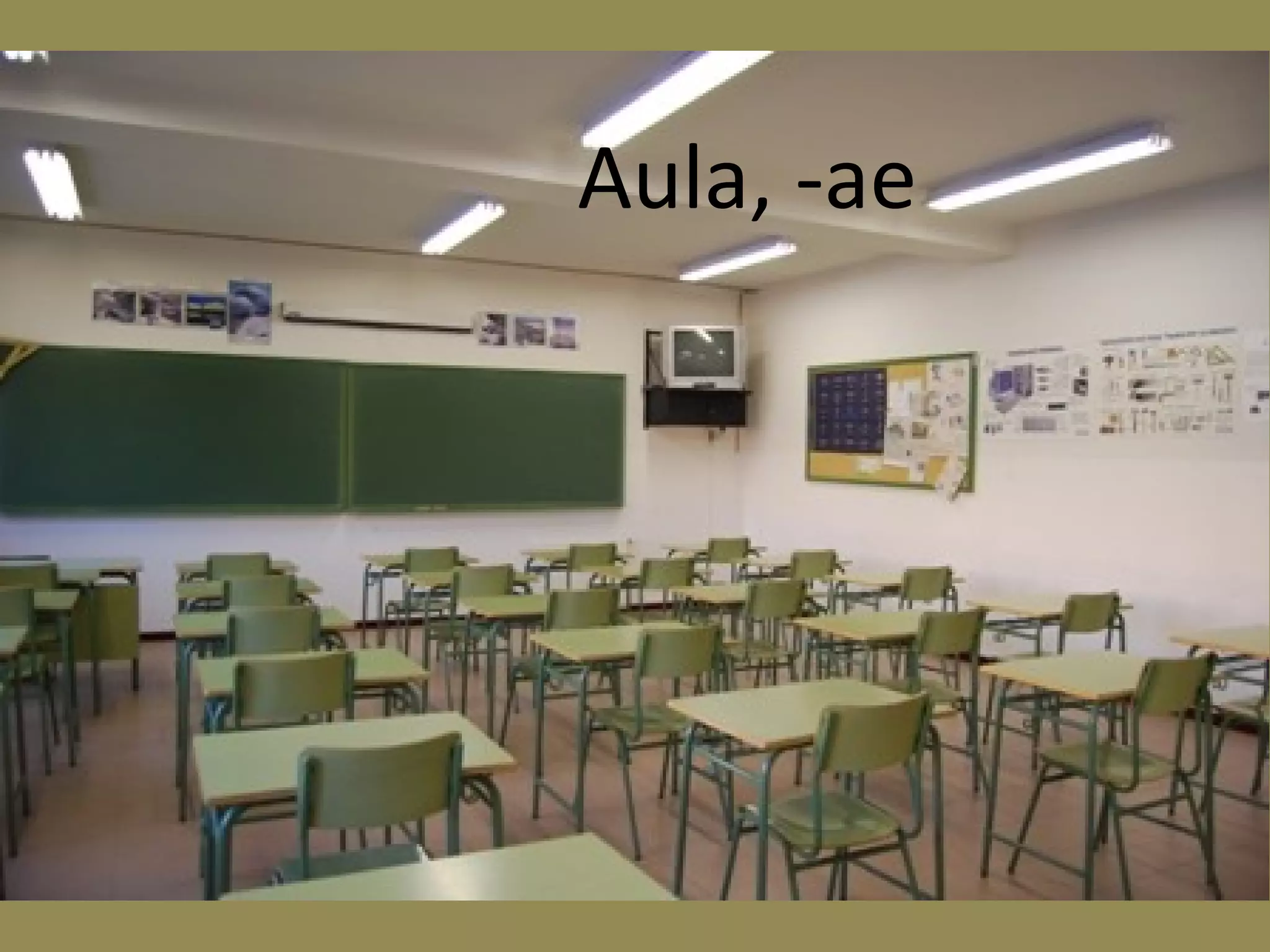 Lingua latina in nostra aula (0) | PPT