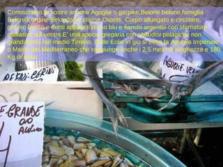 Linguine Con Le Aguglie | PPS
