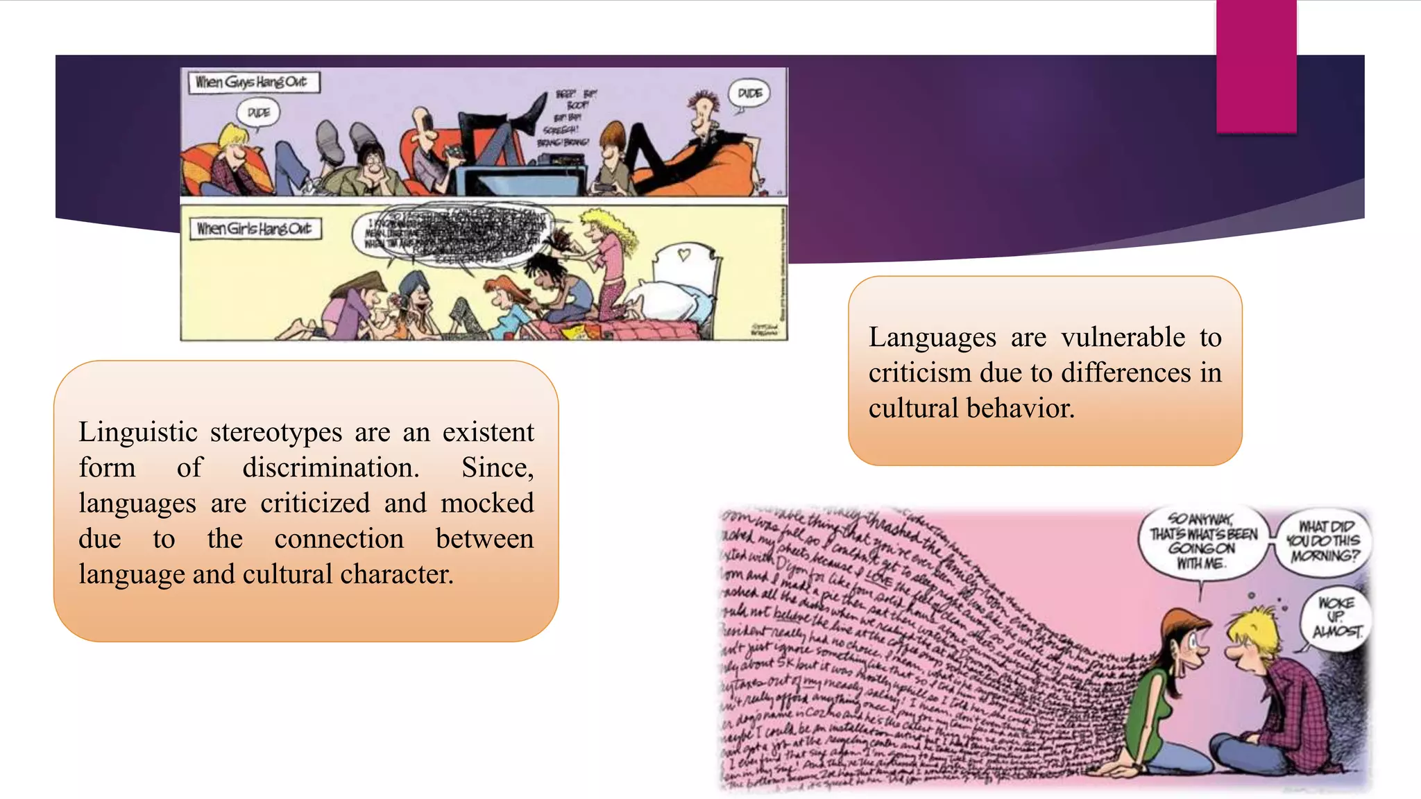 ELEMENT 2 Linguistic focus Stereotypes | PPTX