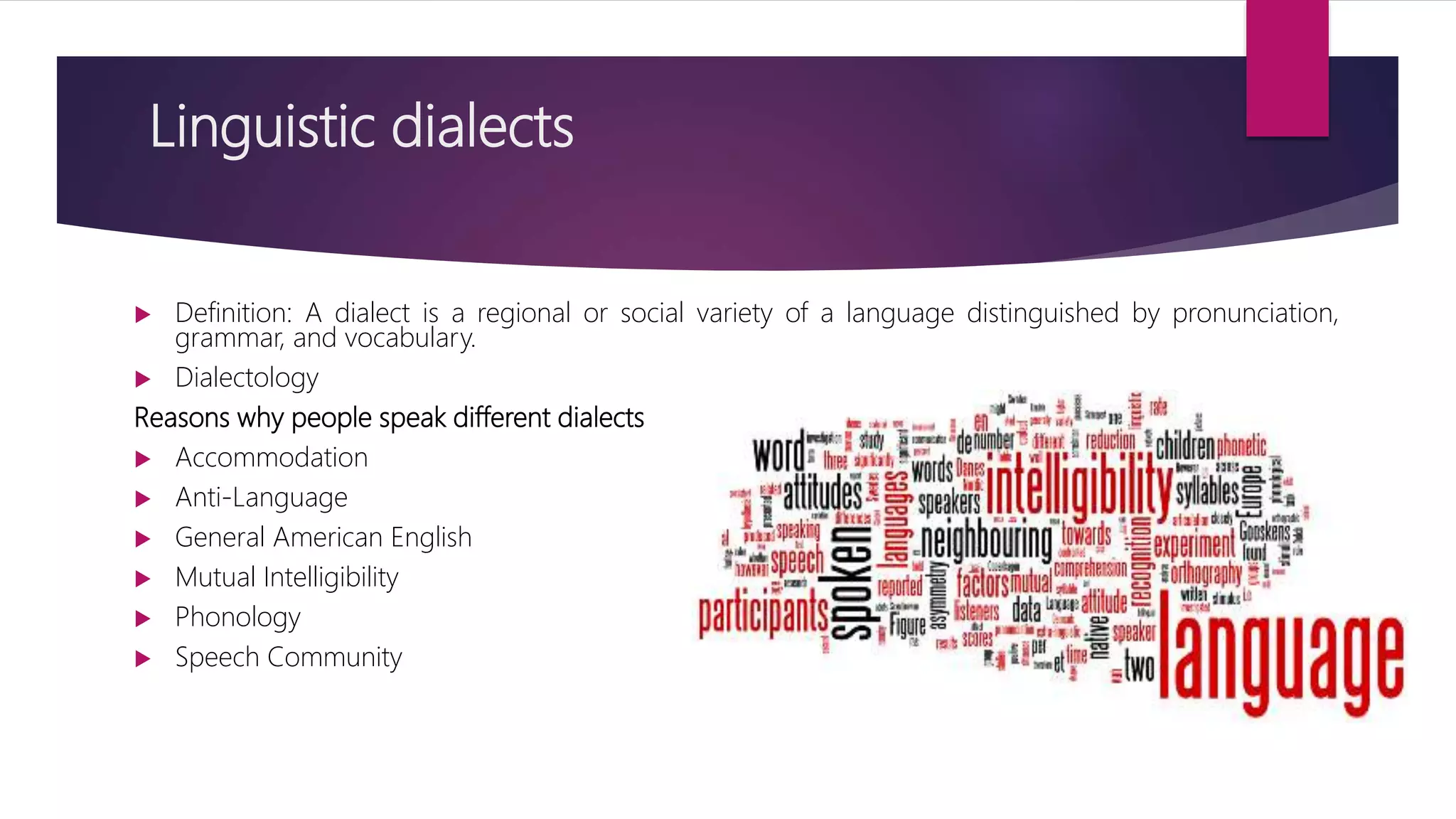 ELEMENT 2 Linguistic focus Stereotypes | PPTX