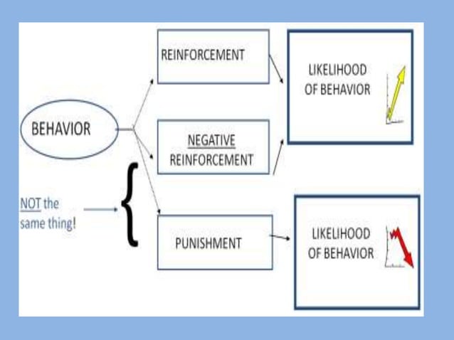 Linguistic oriented theories,behaviorism and innatism | PPTX