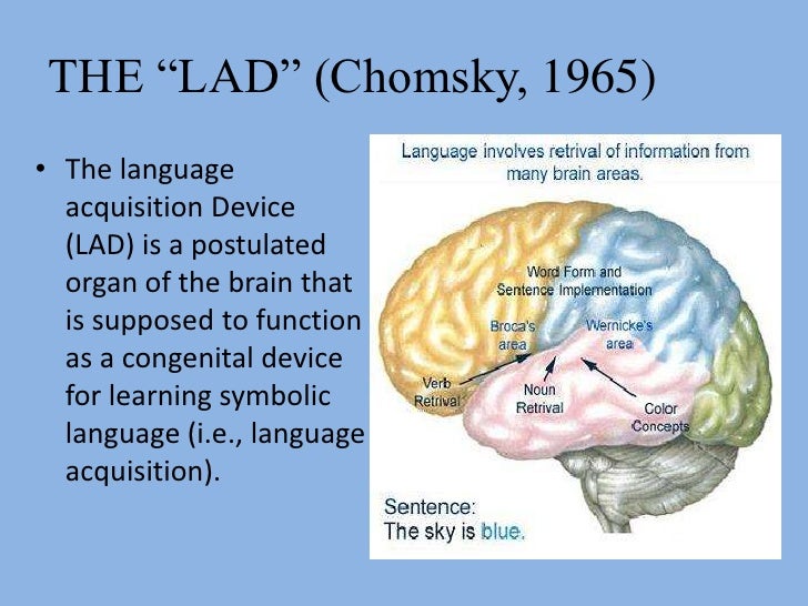 What Is Language Acquisition Device What Is Language Acquisition Device