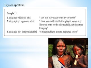 Linguistic categories and culture | PPTX