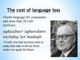 Linguistic categories and culture | PPTX