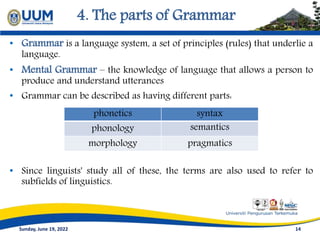 Linguistic concepts.pptx