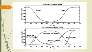 Linguistic hedges in fuzzy logic | PDF