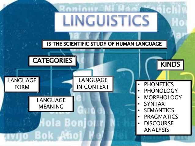 Linguistic knowledge & performance