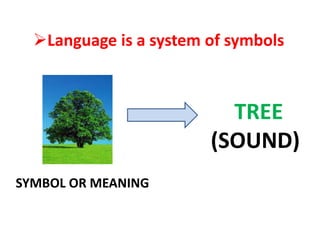 Linguistic principles of teaching english | PPTX