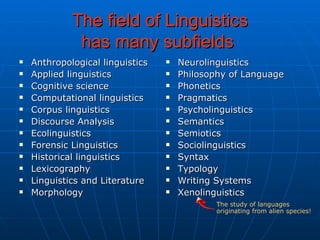 Linguistics: The Study of Language | PPT