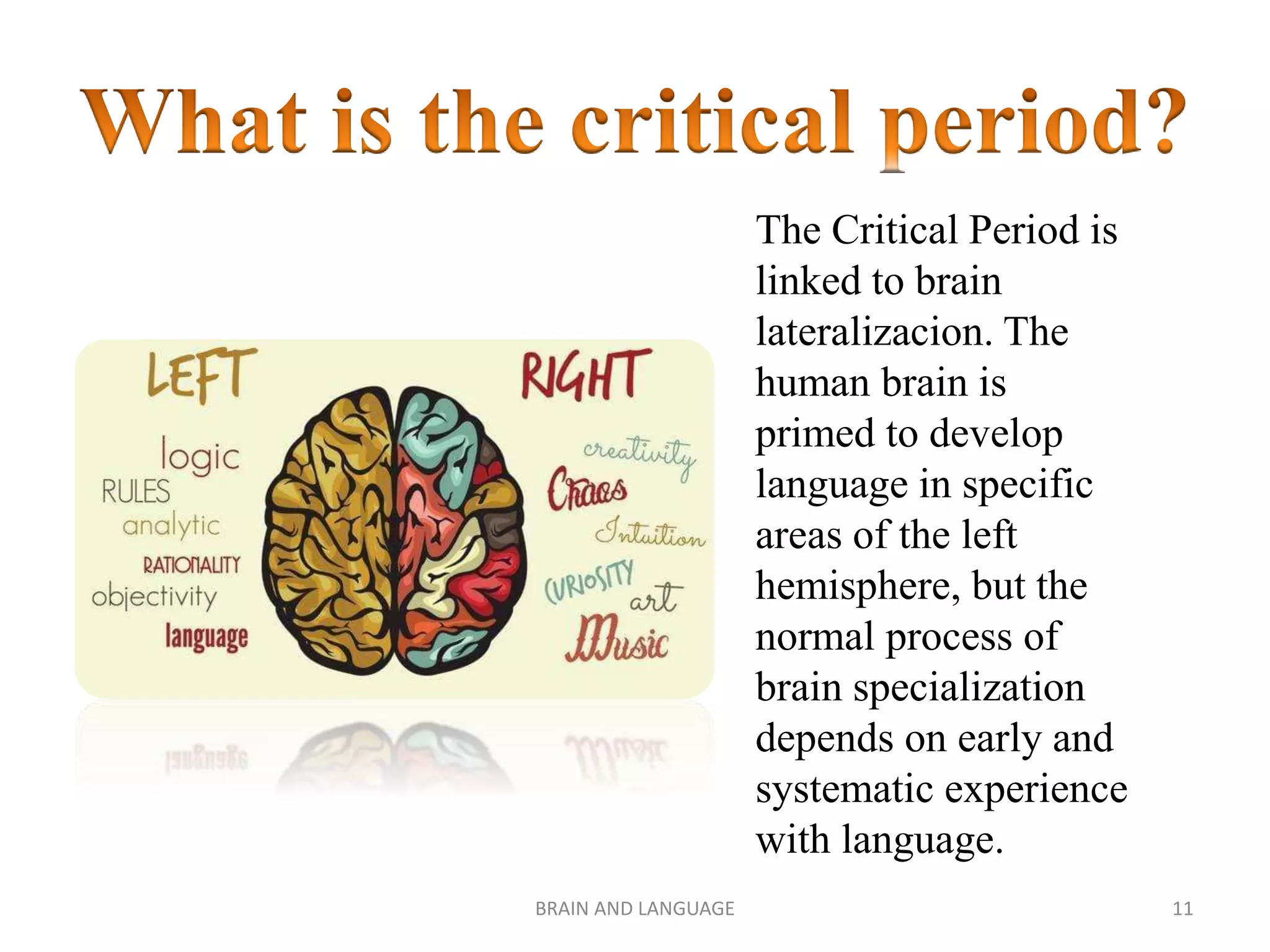 Brain and language | PPTX