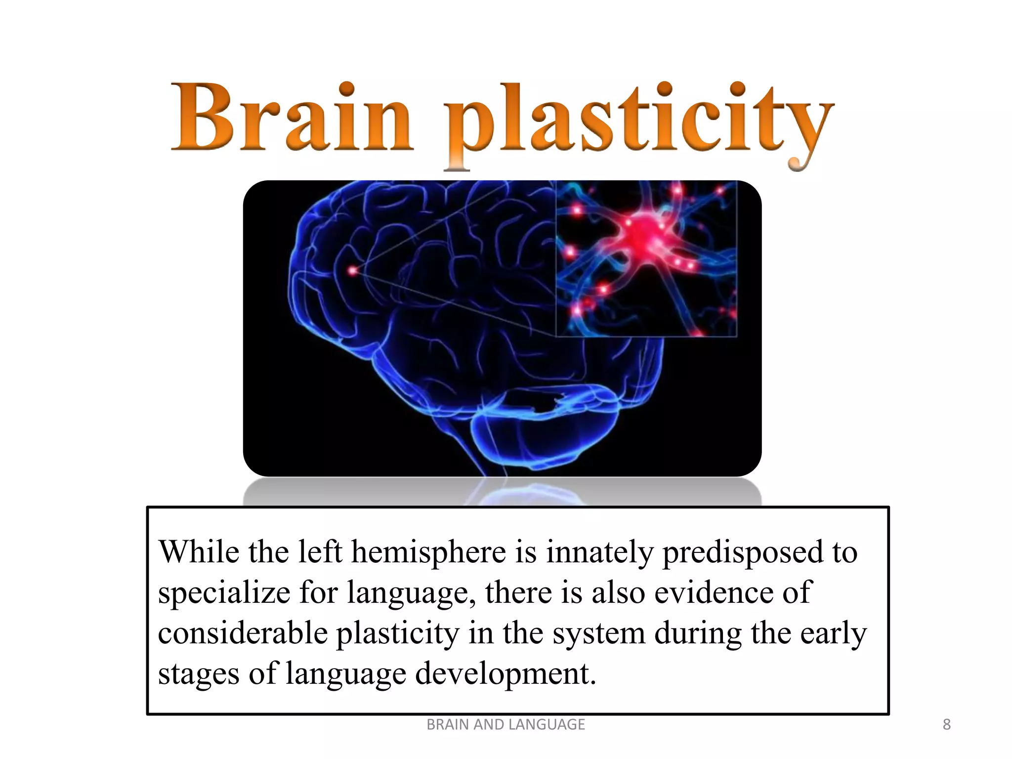 Brain and language | PPTX