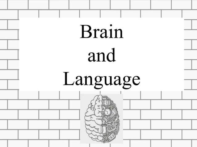 Brain and language | PPTX
