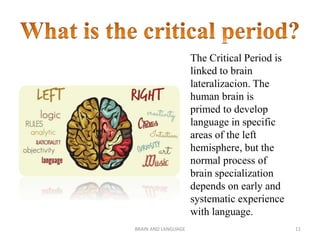 Linguistics | PPT