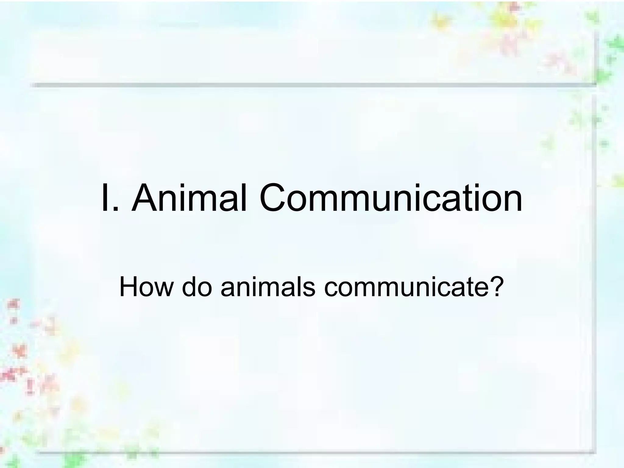 Linguistics animal communication | PPT