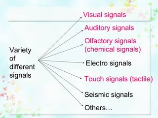 Linguistics animal communication | PPT