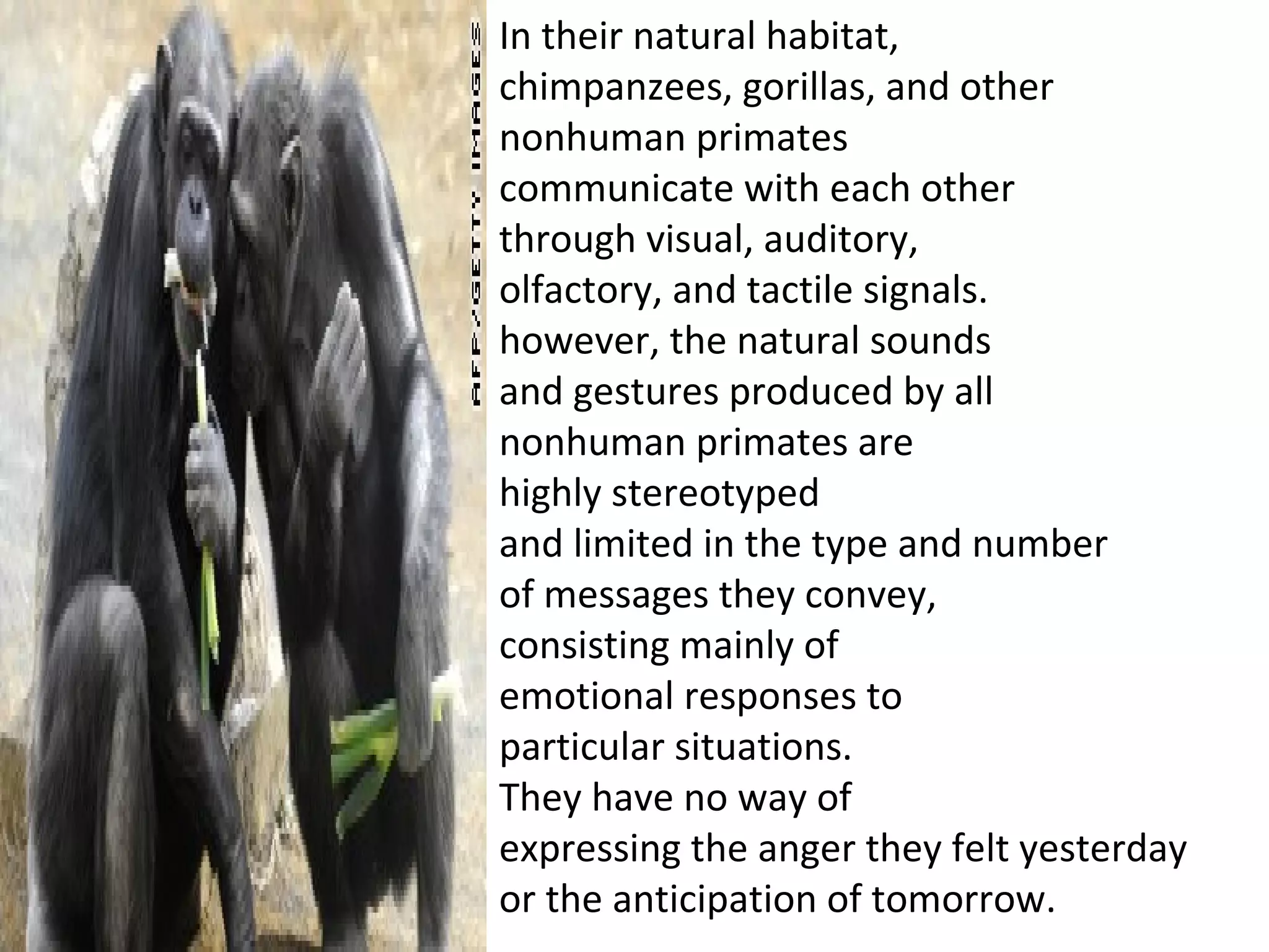 Linguistics Animal Languages | PPT