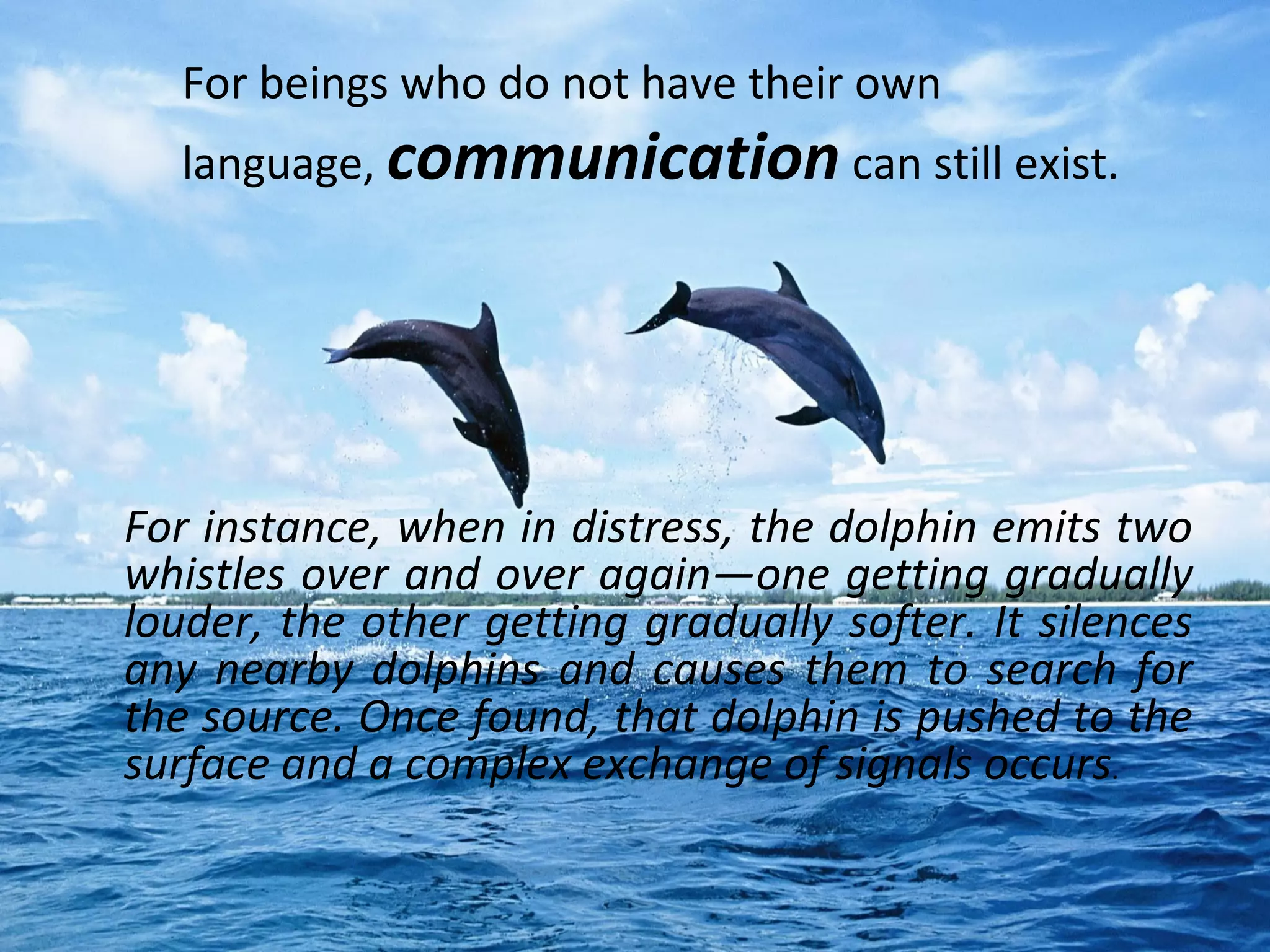 Linguistics Animal Languages | PPT