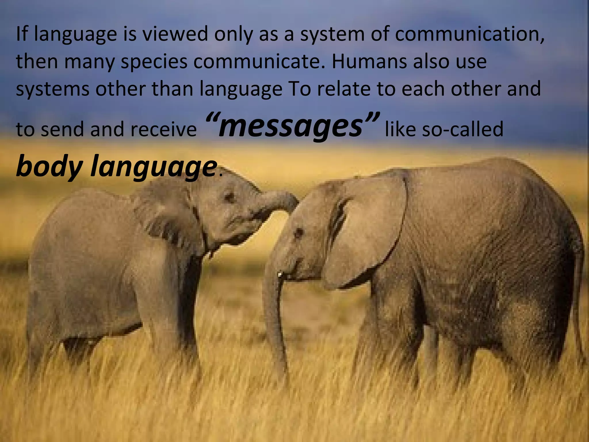 Linguistics Animal Languages | PPT