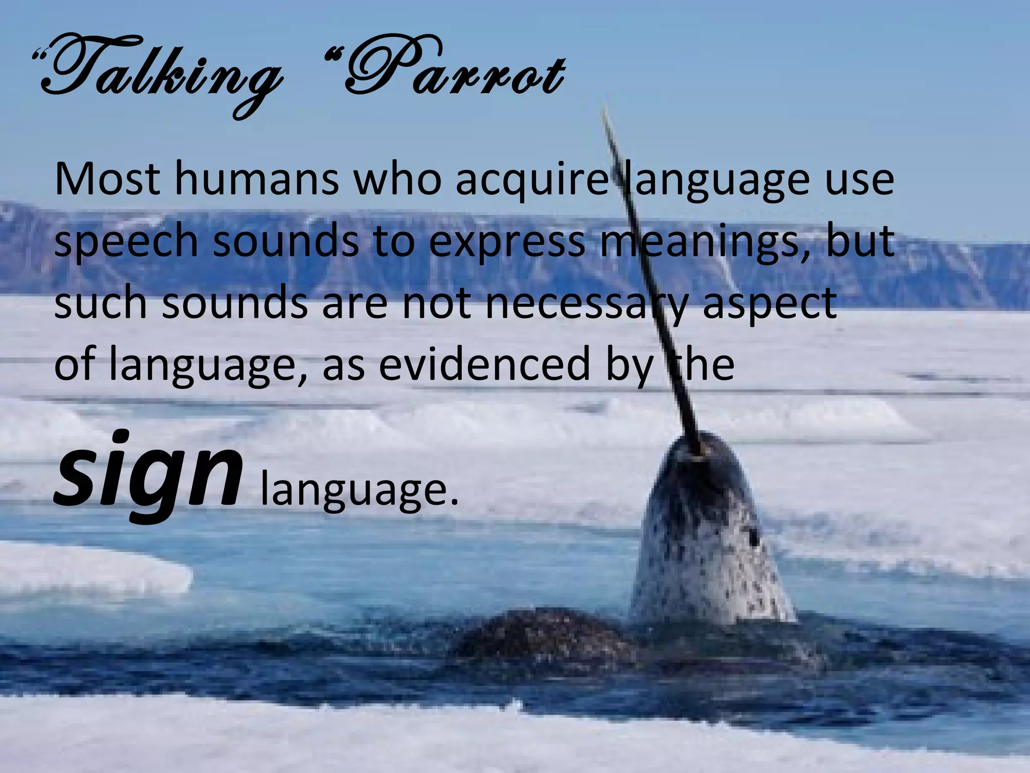 Linguistics Animal Languages | PPT