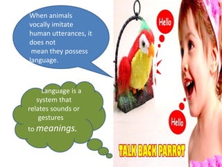Linguistics Animal Languages | PPT