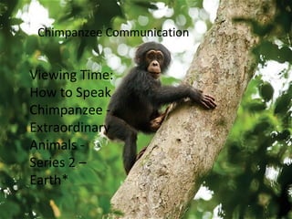 Linguistics Animal Languages | PPT