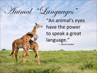 Linguistics Animal Languages | PPT