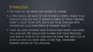 Linguistics curriculum 004 | PPT