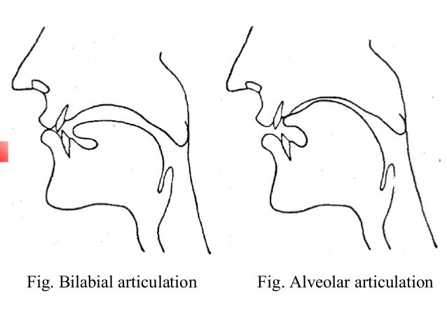 Linguistics hanoi university