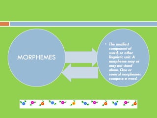 Morphology | PPT