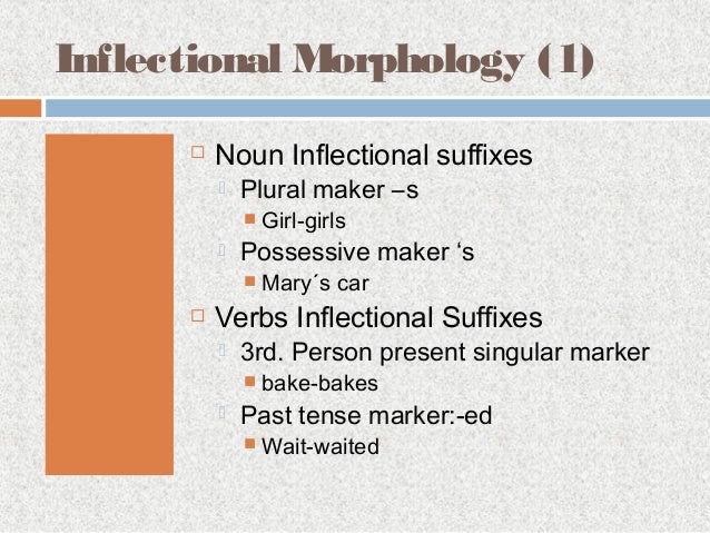 Morphology Definition