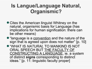 Linguistic turn plc v | PPT