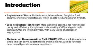 CRISPRCAS9 for hybrid maize plant in china | PPT