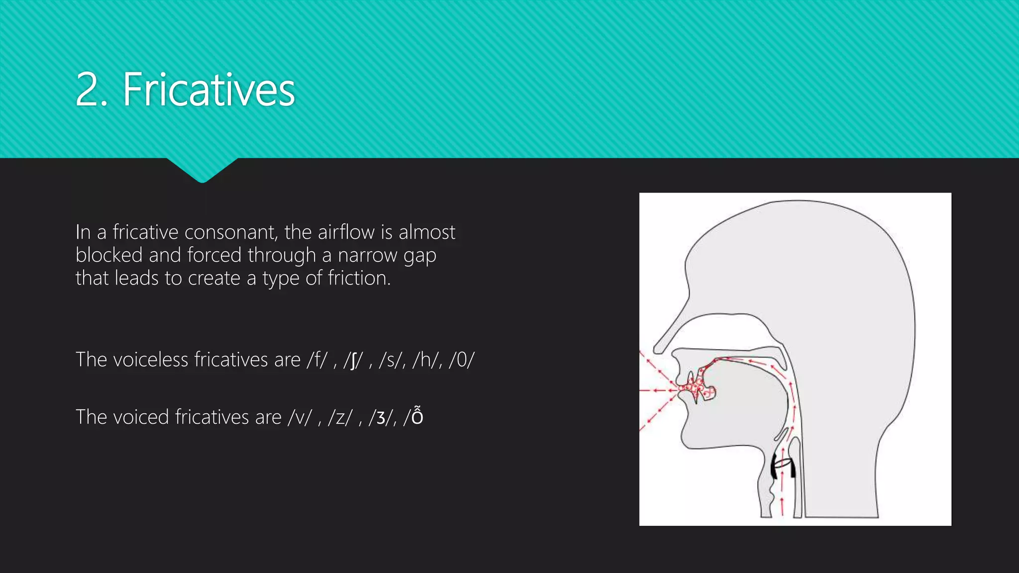 introduction to Linguistics" phonetics; manners of articulation and ...