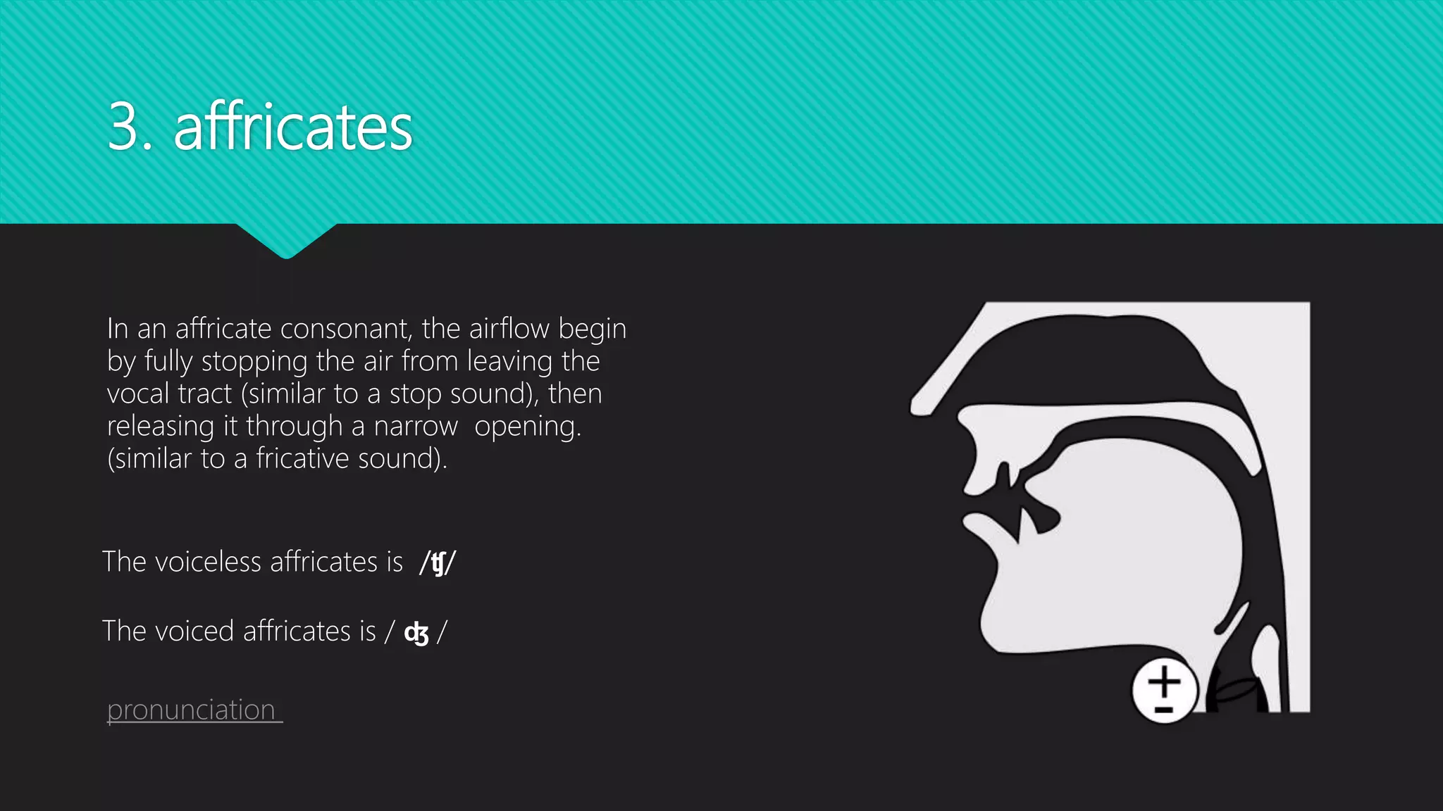 introduction to Linguistics" phonetics; manners of articulation and ...