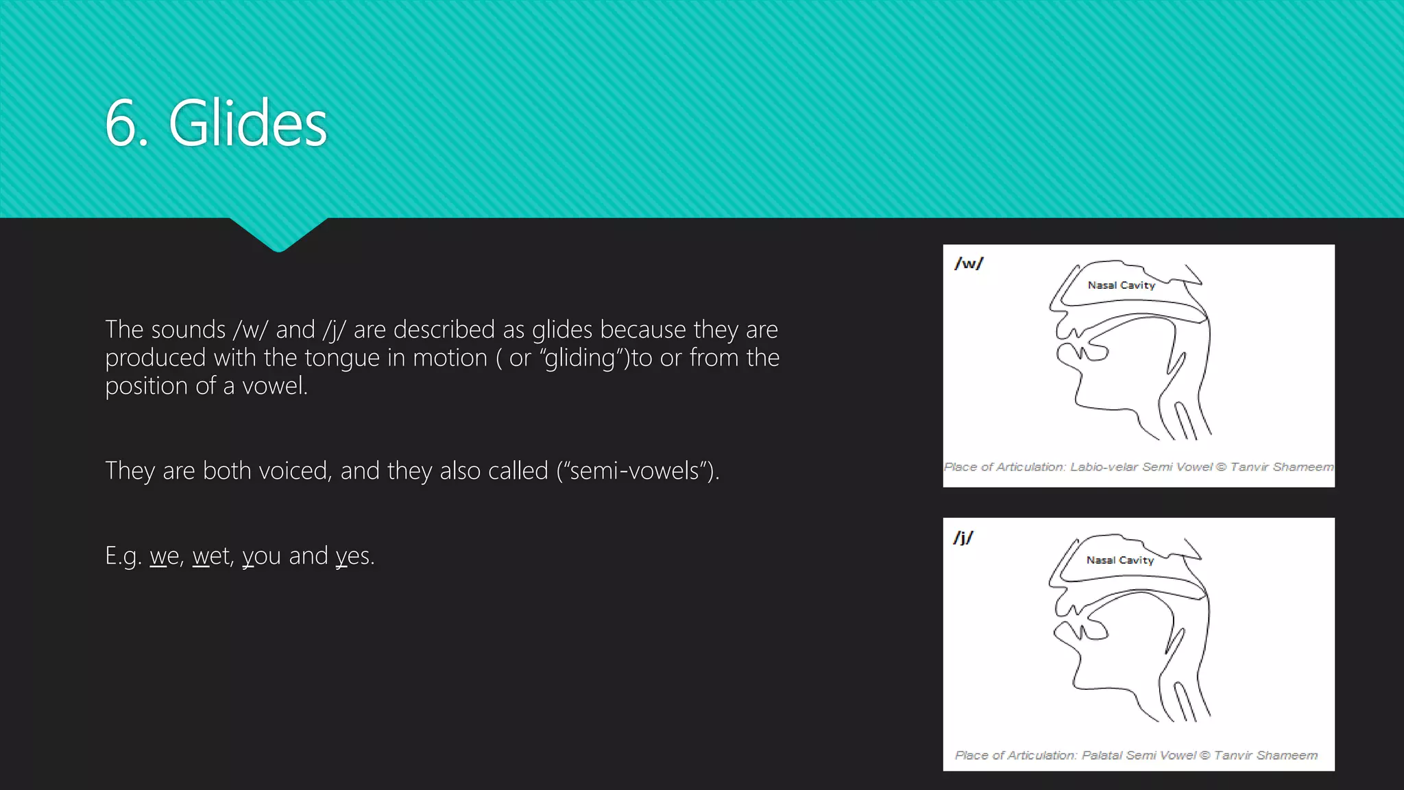 introduction to Linguistics" phonetics; manners of articulation and ...