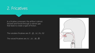 introduction to Linguistics" phonetics; manners of articulation and places of articulation" | PPTX