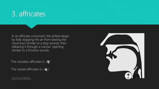 introduction to Linguistics" phonetics; manners of articulation and places of articulation" | PPTX