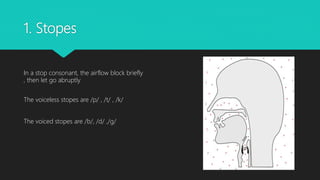 introduction to Linguistics" phonetics; manners of articulation and ...